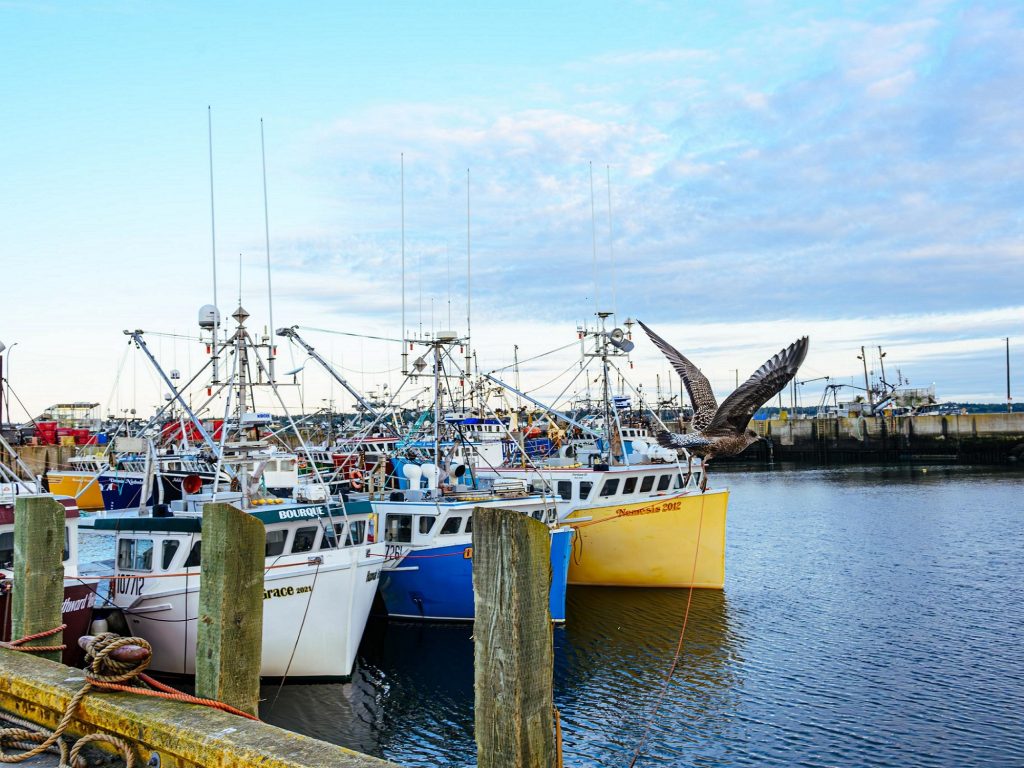 Explore the Pictou Waterfront - Tourism Nova Scotia